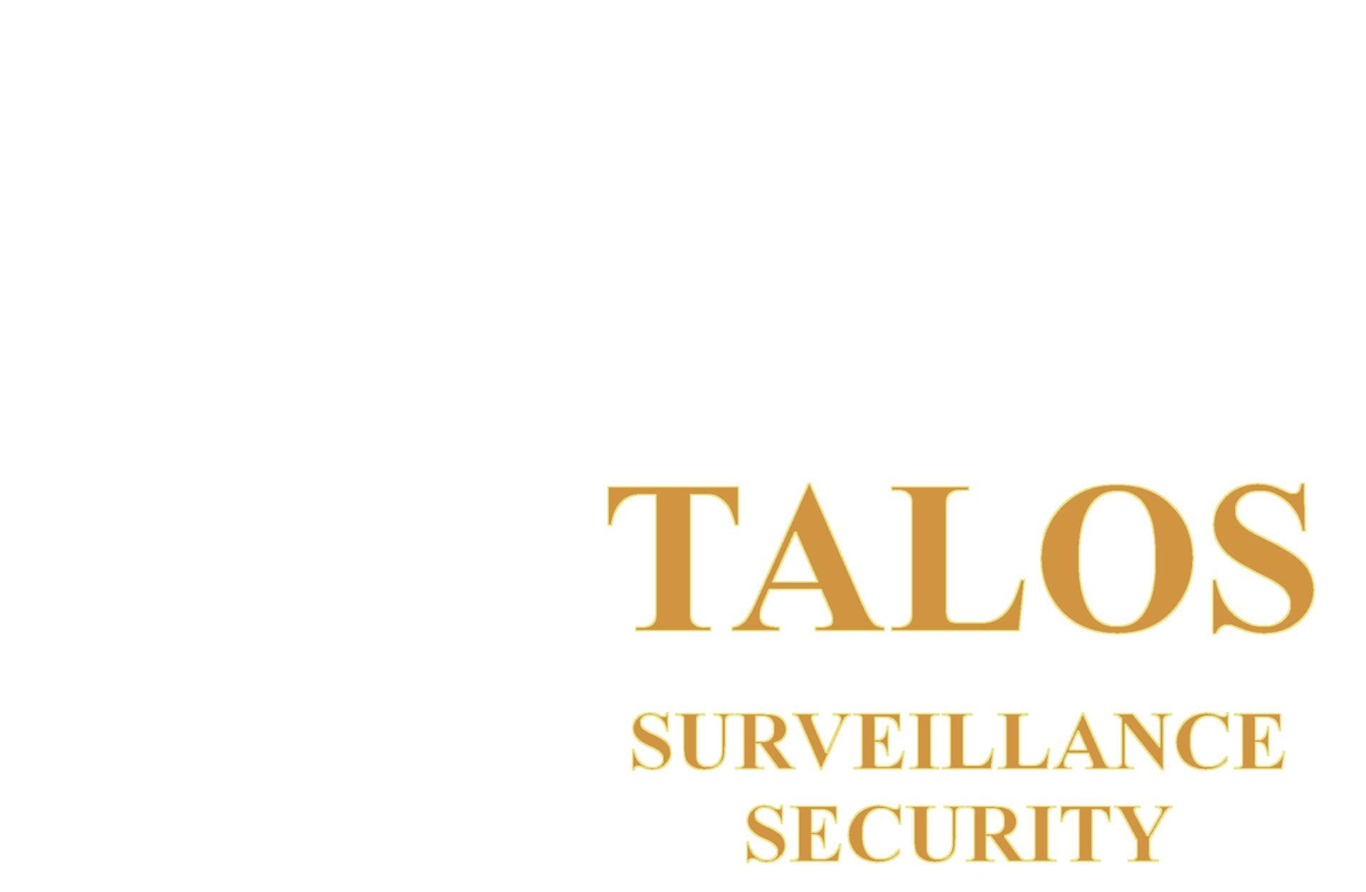 Talos Surveillance & Security